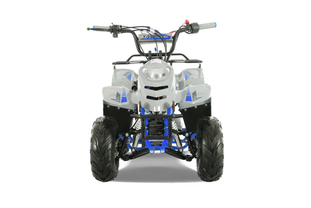 Tao Motors Boulder 110B Kids Atv & Gas Quad 110cc | Cheap Powersports ...