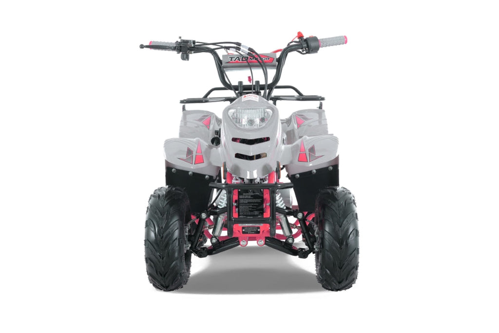 Tao Motors Boulder 110B Kids Atv & Gas Quad 110cc | Cheap Powersports ...
