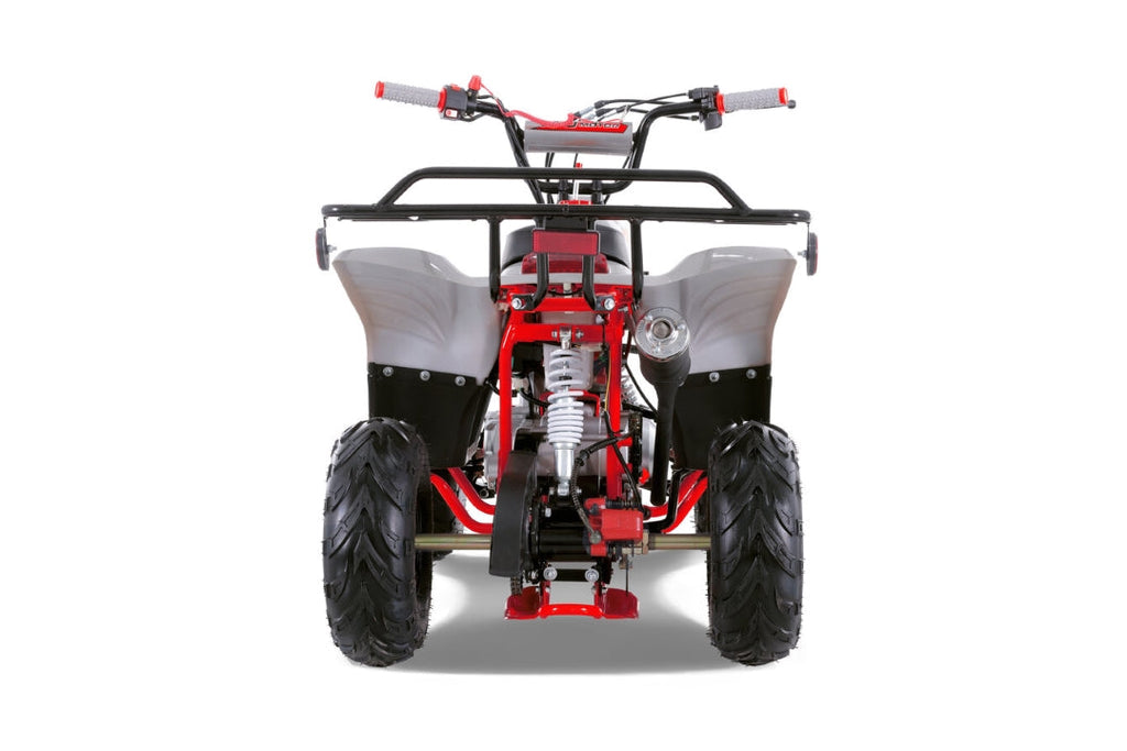Tao Motors Boulder 110B Kids Atv & Gas Quad 110cc | Cheap Powersports ...