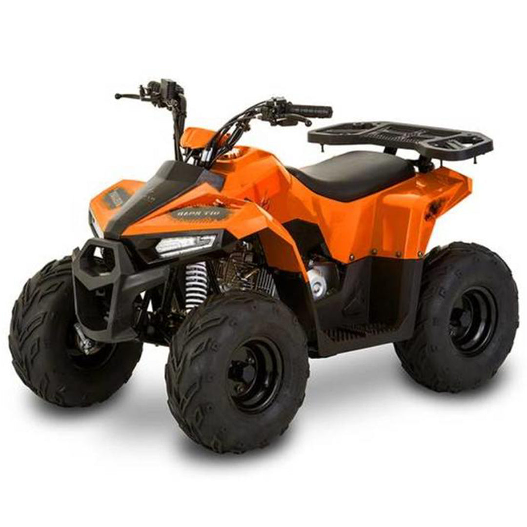 Tao Motors Mudhawk 6 Gas Atv 110cc For Kids And Teen Gas Quad – Kids On ...